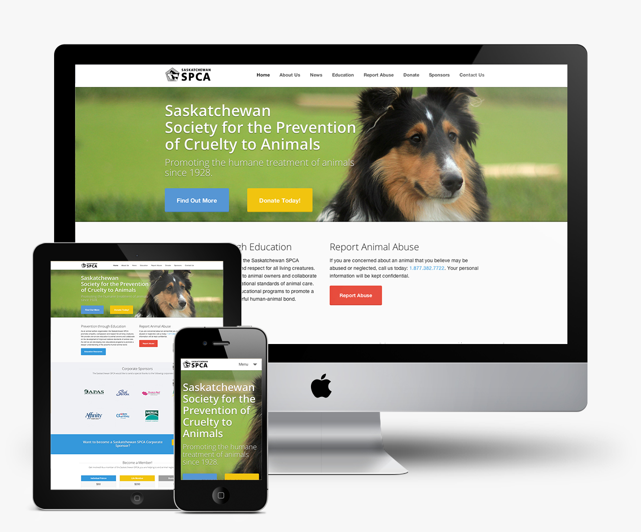 Website Evolution: The Saskatchewan SPCA - Command Base